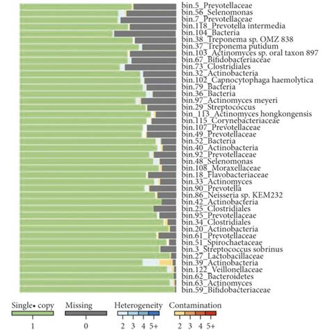 Metagenomics Wise Strain Level Association With Caries A Quality