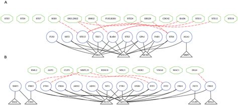 Example Perturbation Responding Subgraphs Two Example Subgraphs Are