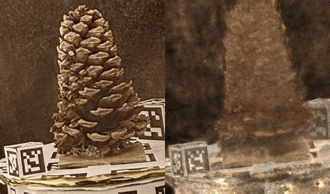 Hyperspectral Neural Radiance Fields