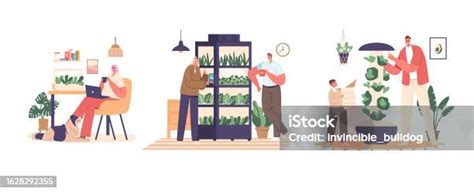 가정 정원 가꾸기를 즐기고 실내에서 무성한 녹지를 가꾸고 자연과의 연결을 촉진하는 캐릭터 가정의 방에 대한 스톡 벡터 아트 및 기타 이미지 Istock