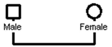 Rules To Build Genograms GenoPro