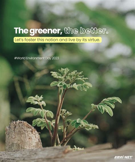 omninet technologies pvt ltd on linkedin environmentday