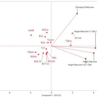 Principal Component Analysis PCA With Five Components 1 Palmer