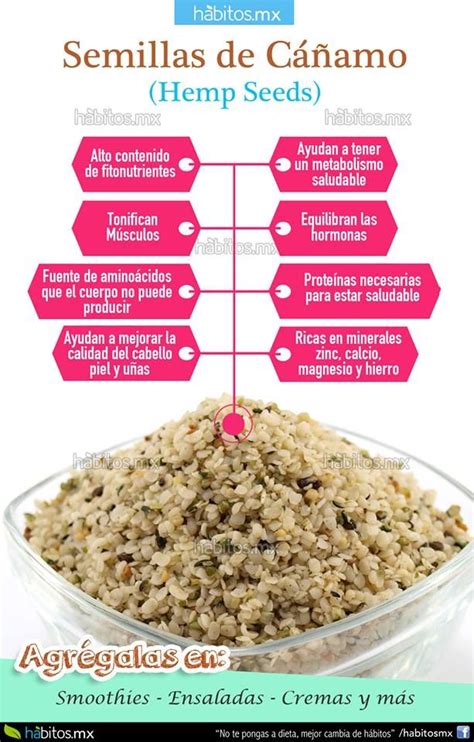 HÁbitos HÁbitoss Photos Semillas Cañamo Comidas Saludables Y