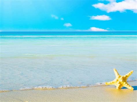 Python基礎之字符編碼 每日頭條