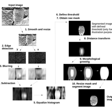 Anisotropy Based Segmentation Workflow Download Scientific Diagram