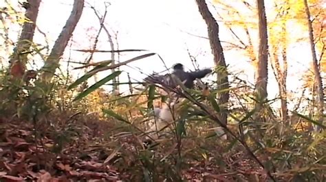 Takako Kitahara F4 Eporner