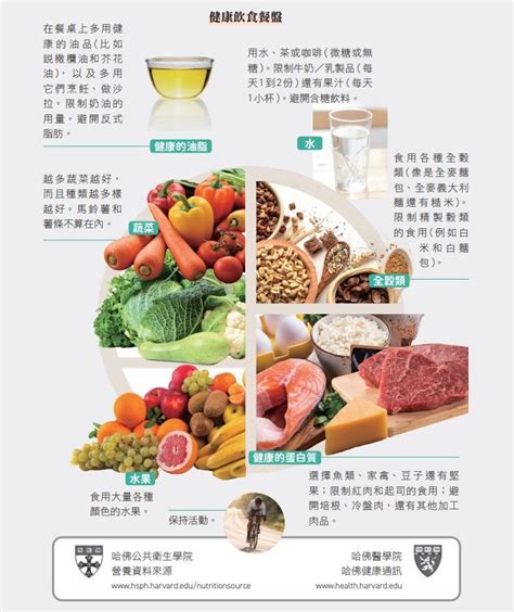 哈佛餐盤4招吃出逆齡體質！不再餓肚子，體重和血糖一起 養生保健 住在韓國
