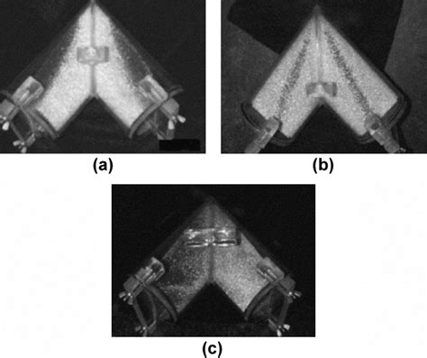 The Three Segregation Patterns Found In The 1 Quart V Blender When Run Download Scientific