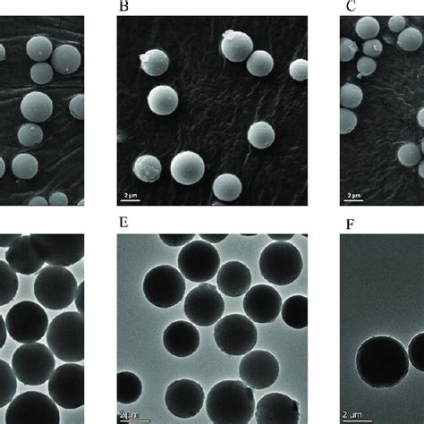 Sem Micrographs Of Bare Active Silica Gel A Sio2nh2cooh B And