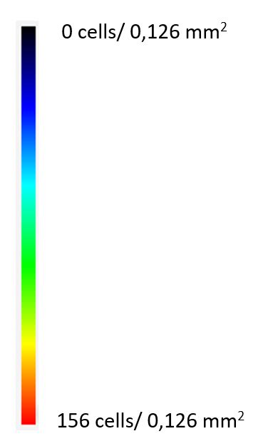 Exact Functionality Of The Density Map In Qupath Image Analysis