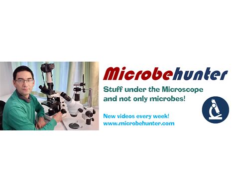 You Dont Need To Be Overwhelmed With Choices Where The Only Difference