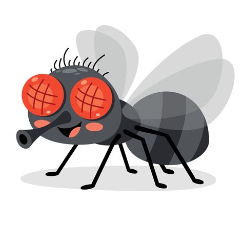 Illustration Of A Fly Insect 13536903 Vector Art At Vecteezy