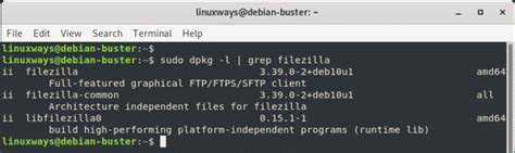 How To Install Filezilla On Debian 10 Linuxways