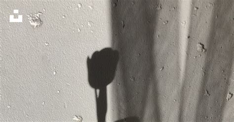 흰 벽에 사람의 그림자 사진 Unsplash의 무료 회색 이미지