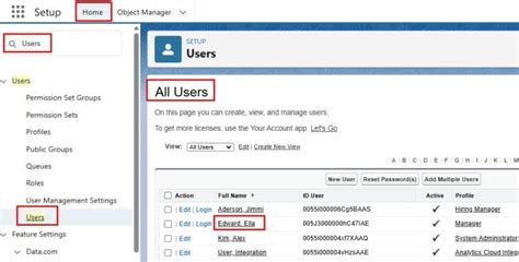 How To Reset A User Password In Salesforce Detailed Guide