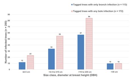 White Pine Blister Rust Infection In Whitebark Pine In The Greater Yellowstone Ecosystem Data