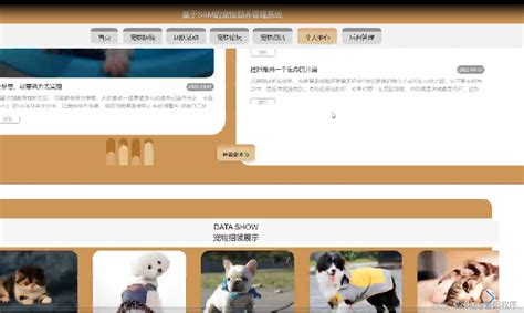 Javaphpnodejspython基于的宠物领养管理系统【2024年毕设】 Csdn博客