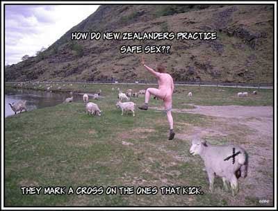 Sex Doll For Men Page 2 XNXX Adult Forum