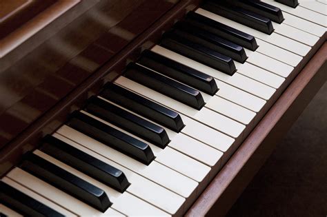 100000 Free Ebony Girl And Girl Images Pixabay