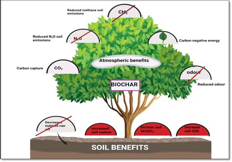 Environmental Benefits Of Biochar Download Scientific Diagram