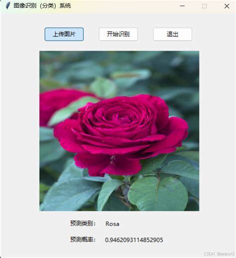 基于卷积神经网络的花卉识别系统，resnet50，mobilenet模型【pytorch框架 python】 csdn博客