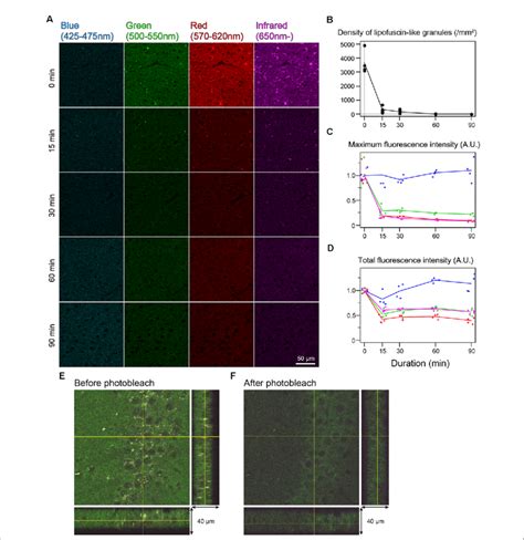 Rapid Quenching Of Autofluorescence In The Mouse Cingulate Cortex By Download Scientific