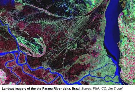 Forest Monitoring Using Remote Sensing