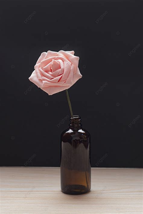 장미 심 플 꽃병 기물 촬영 배경 배경 화면 및 일러스트 무료 다운로드 Pngtree