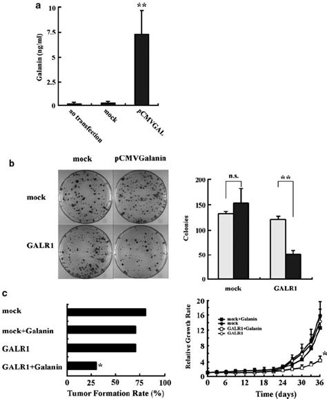 Galanin And Galr1 Inhibit Colony Formation In Vitro And Tumor Growth In