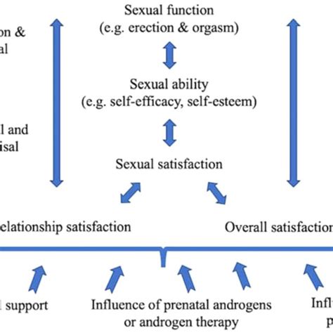 An Interactive And Dynamic Model Of Sexual Quality Of Life Within A Download Scientific Diagram