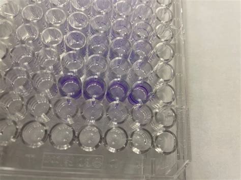 Crystal Violet Biofilm Assay Nc Dna Day Blog