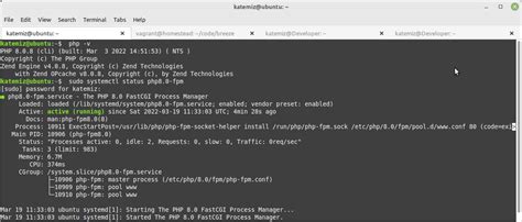 Raspberry Pi Laravel Deployement Kapkara
