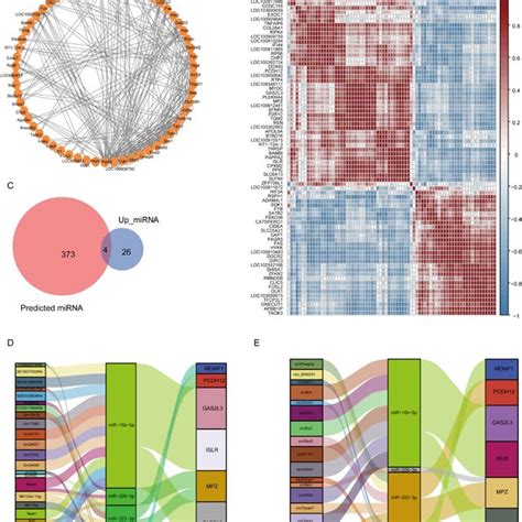 Protein Protein Interaction Ppi Network And Cerna Networks A Ppi Download Scientific Diagram
