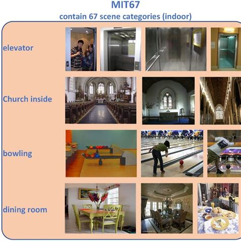 some examples of images in three datasets which are used in this work