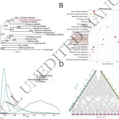 Comparative Genome Analysis A Dated Phylogeny For 16 Plant Species With Download Scientific