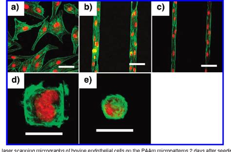 Figure 1 From Second Generation Maskless Photolithography Device For