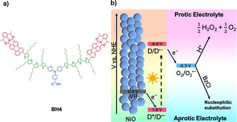 A Molecular Structure Of Bh4 B Schematic Representation Of The Download Scientific Diagram
