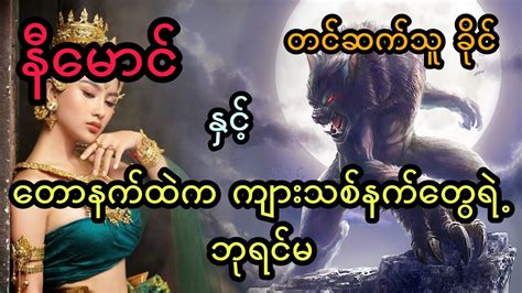 နီမောင် နှင့် တောနက်ထဲက ကျားသစ်နက်တွေရဲ့ ဘုရင်မ အစအဆုံး Youtube