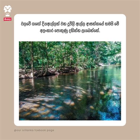 301 Moved Permanently