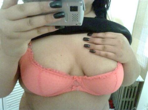 Sketchup Curve SexDex