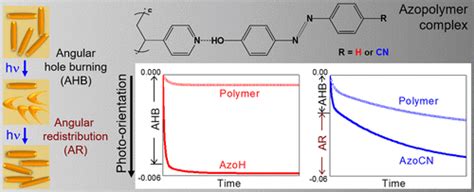 氢键结合的偶氮聚合物配合物光取向的分子水平研究 Macromolecules X Mol