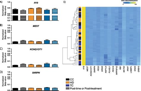 Sperm Dna Methylation Of Imprinted Genes Is Not Affected By Time Cc Download Scientific