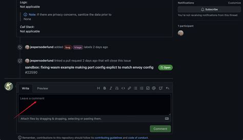 开源共建，学会在 Github 上提 Issuesgithub Issues Csdn博客
