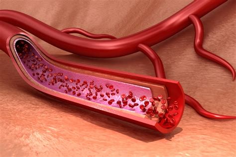 Eritrocite mărite la copil Cauze simptome și tratament Qbebe ro