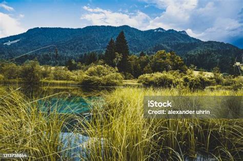 자연 보호 구역 젤렌치 크라인스카 고라 슬로베니아 유럽 젤렌치 자연 보호구역의 멋진 아침 전망 슬로베니아 여행 0명에 대한 스톡 사진 및 기타 이미지 Istock