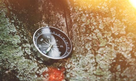 Travel And Navigation Determination Of Cardinal Points By Compass Stock Image Image Of