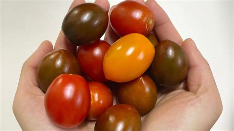 설날에 많이 먹었다면 꼭 이렇게 드세요 방울토마토로 급찐급빼하기 Youtube