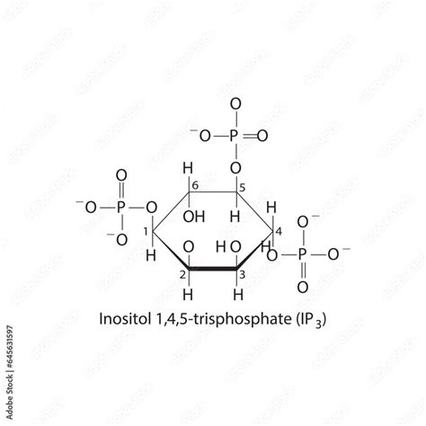 Inositol Trisphosphate Ip3 Endogenous Second Messenger In Cell