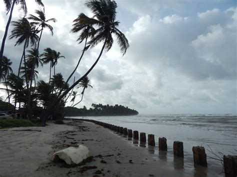 Manzanilla Beach Trinidad And Tobago West Indies Stock Image Image